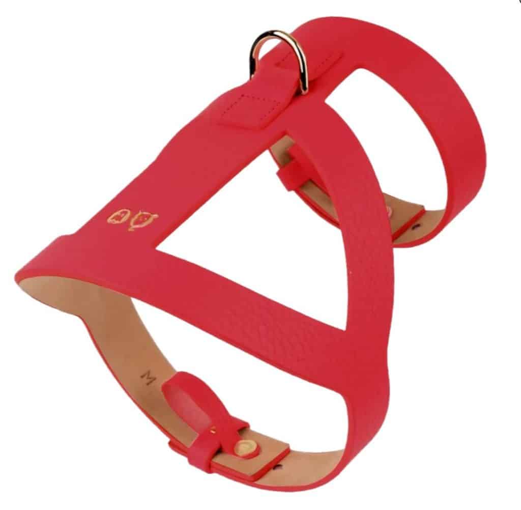 Lucca Dog Harness - Red - PUCCI Café
