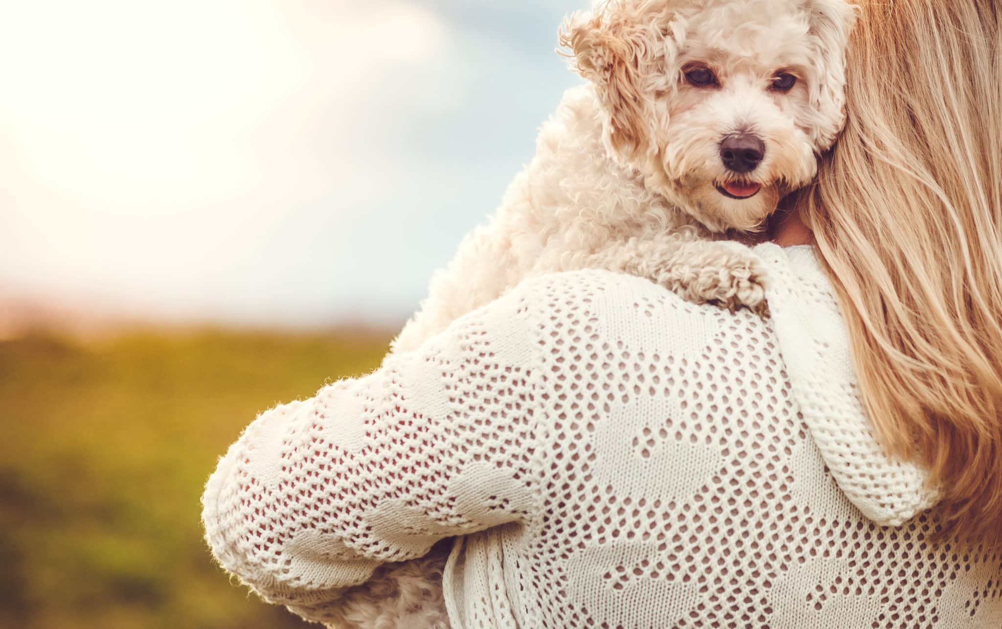 Dogs Make People Feel Good