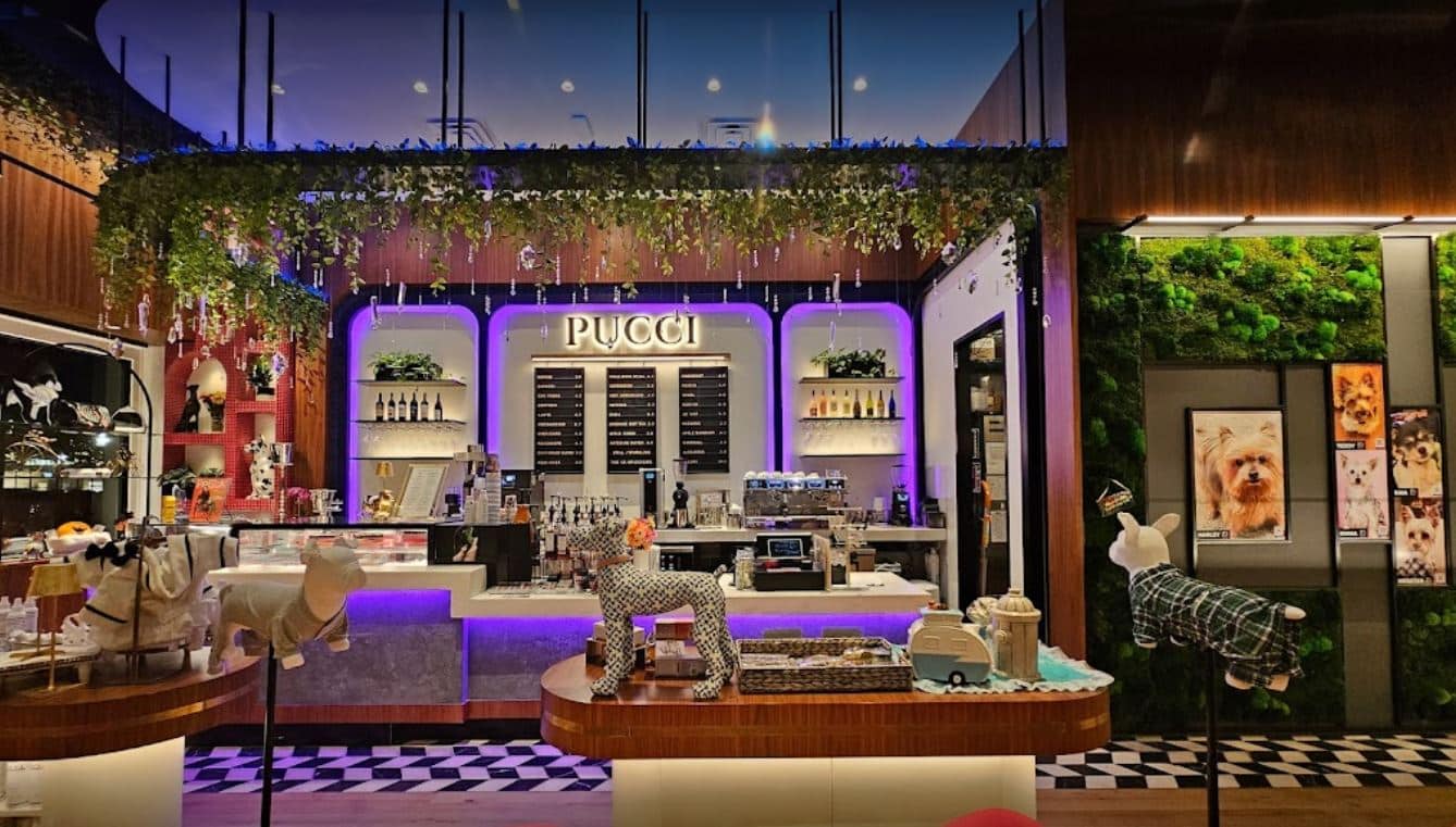 PUCCI Cafe Menu | Coffee Shop | Wine Bar | Desserts